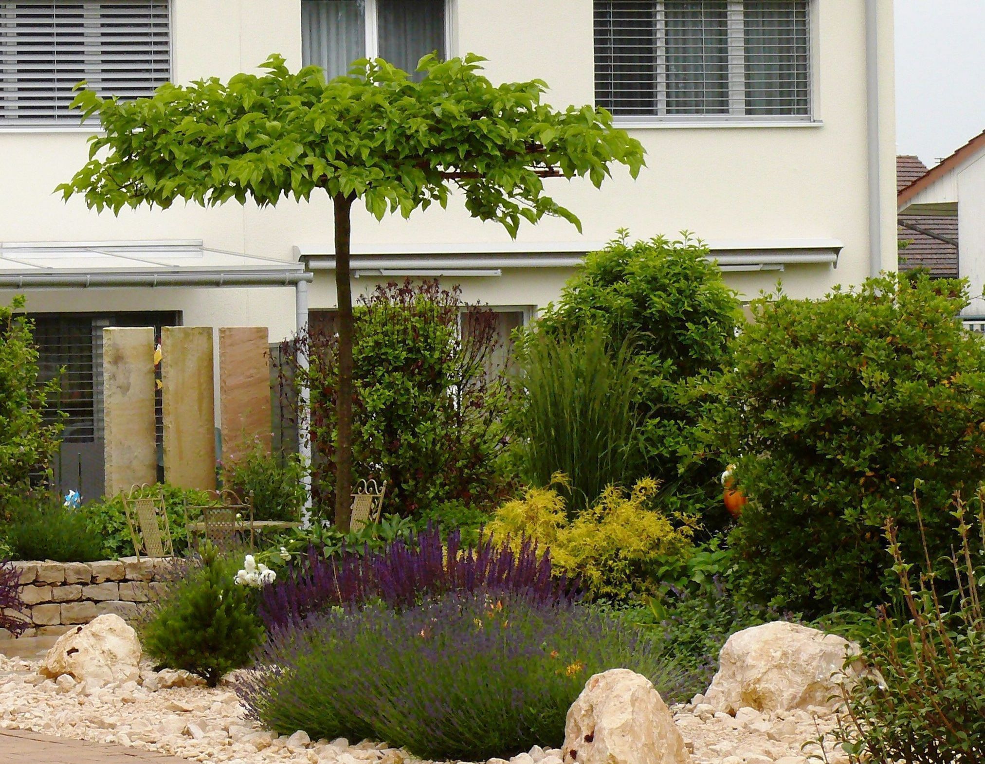 Baum Garten Schattenspender