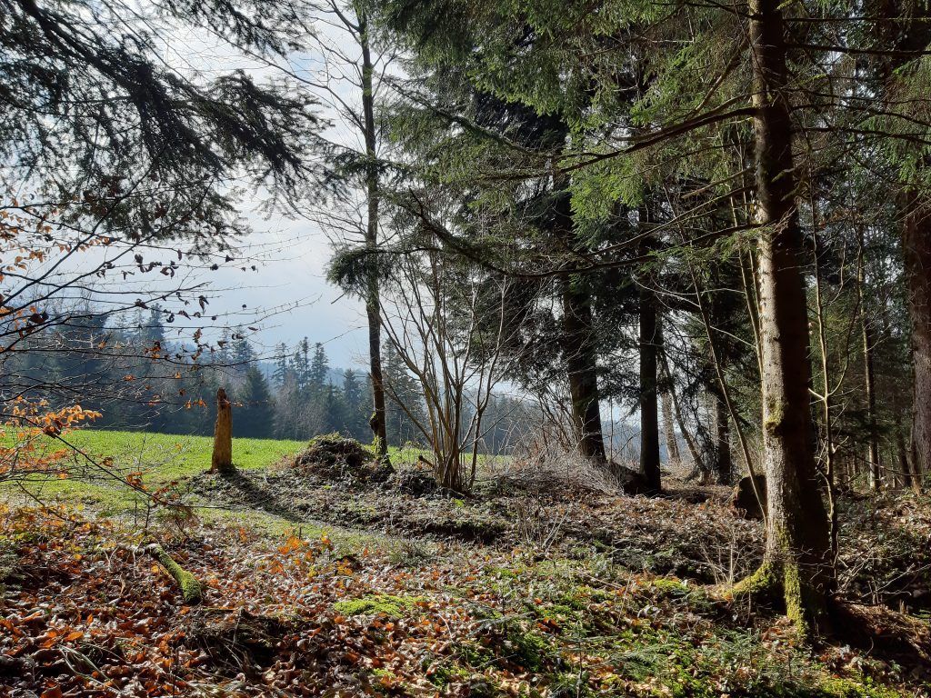 Geschichtsrundgang in Kennelbach - NEUE Vorarlberger Tageszeitung | NEUE.at