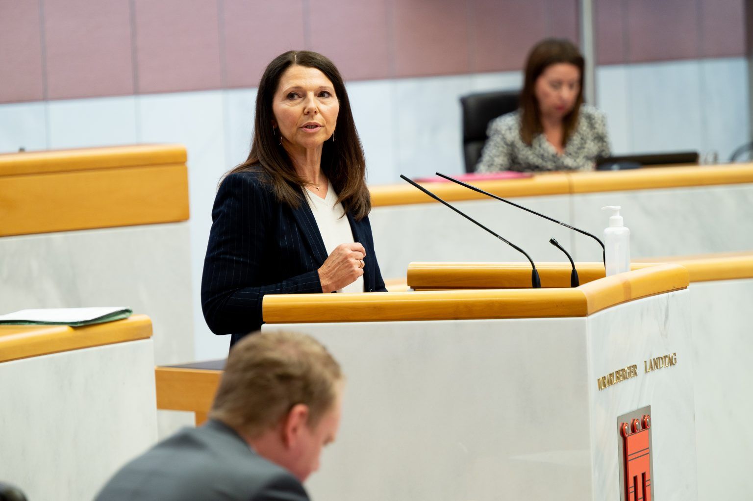 Bitschi allein auf weiter Flur - NEUE Vorarlberger Tageszeitung | NEUE.at